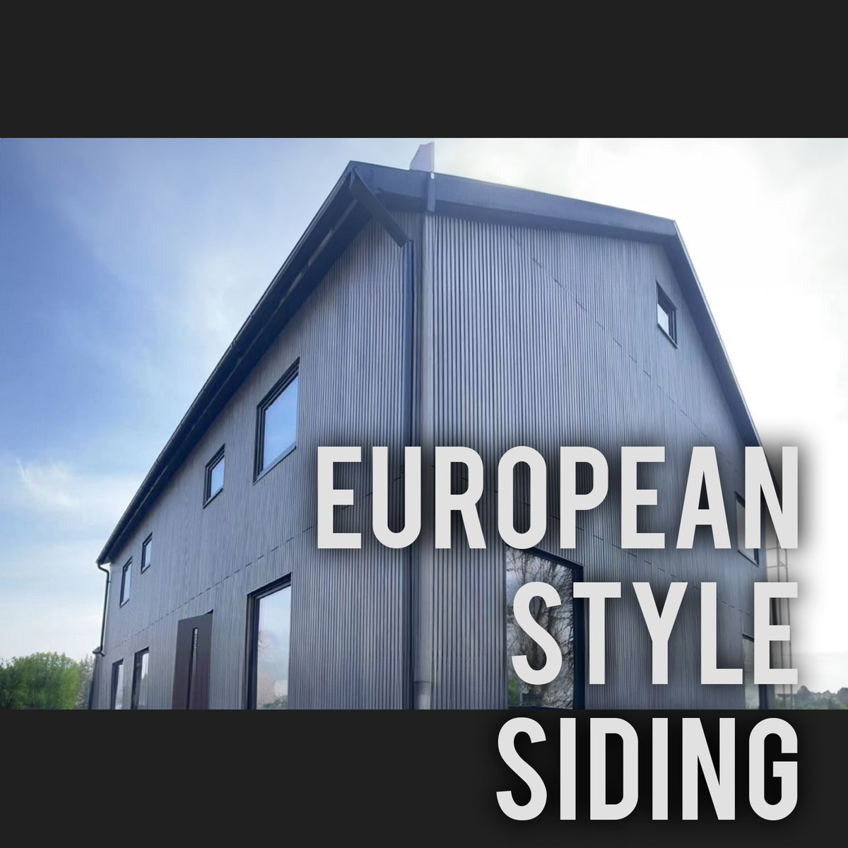 European Style Siding — WALLS Decor